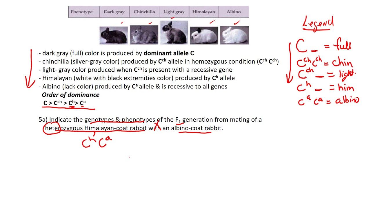 page 18 q5a - YouTube