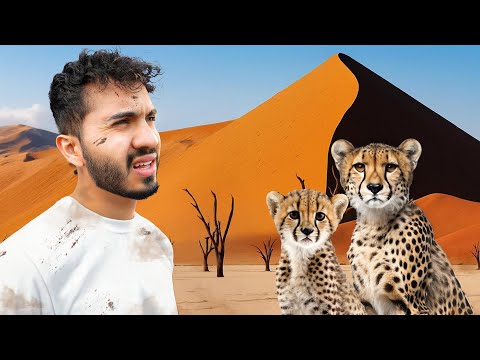 Así es el desierto más ANTIGUO del MUNDO en ÁFRICA | Namibia 🇳🇦