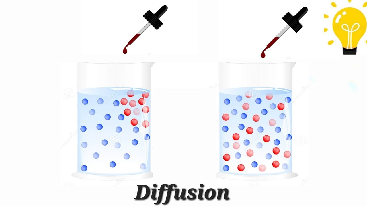 Diffusion experiment Class 9th Science | Chemistry | Ch- 1 #chemistry # ...