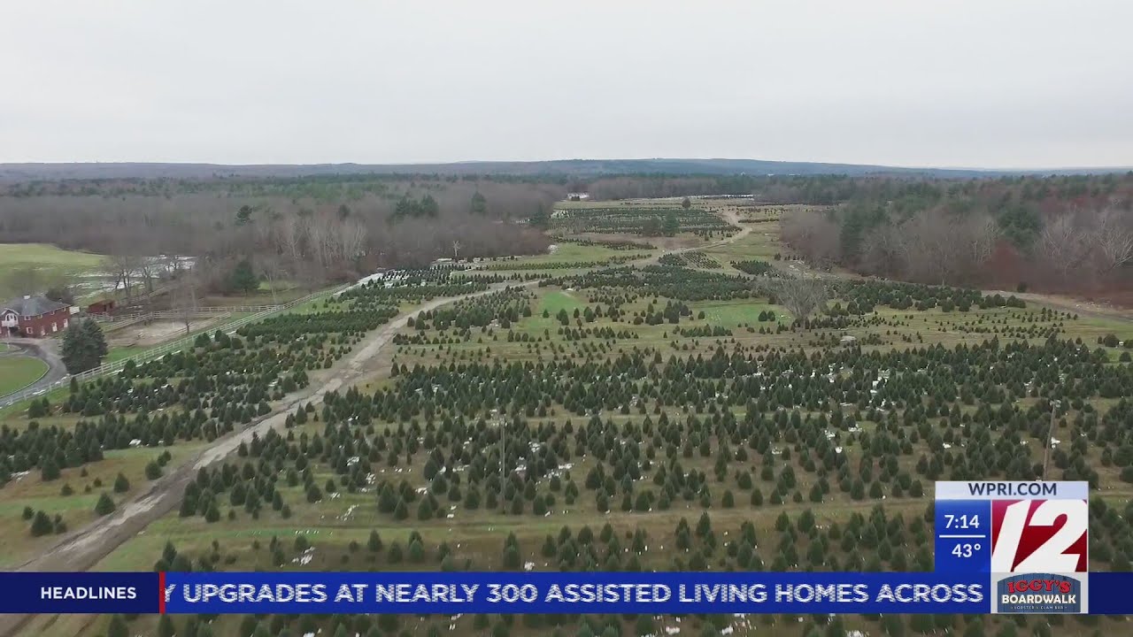 Henry’s Christmas Tree Farm closes after ‘one last encore’ season - YouTube