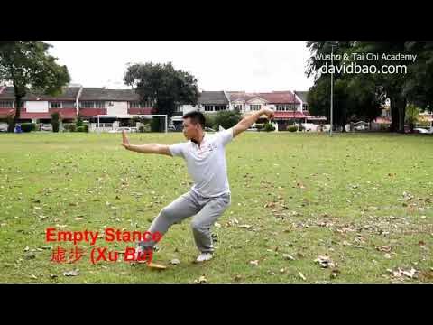 Five Stance Form 五步拳 Wu Bu Quan - YouTube