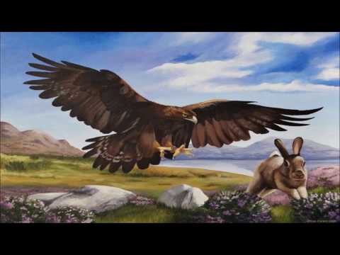 The Eagle and The Rabbit (Kartal ve Tavşan)