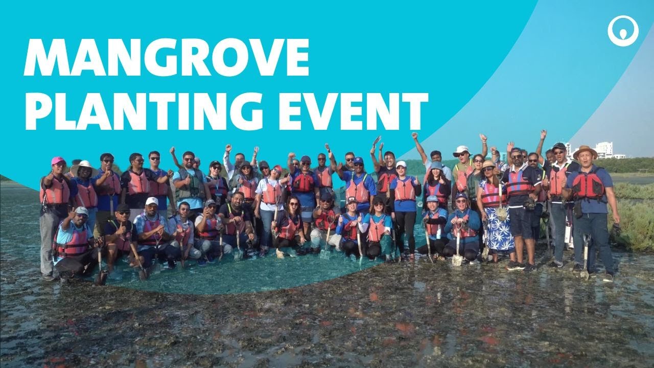 Mangrove Planting event at Al Zorah Nature Reserve, Ajman with Veolia ...