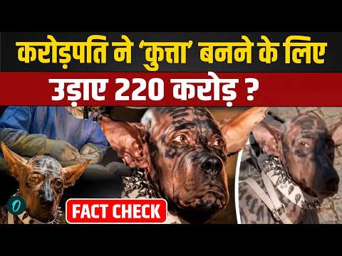Fact check: 26 साल के करोड़पति ने Dog Surgery में उड़ाए 220 करोड़, क्या है Viral Video की सच्चाई?