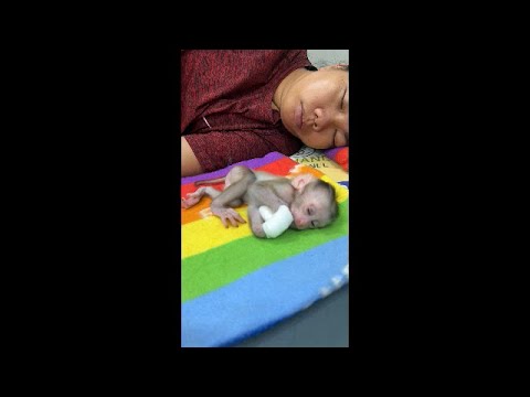 Bubu Sleep So Well With Dream - YouTube