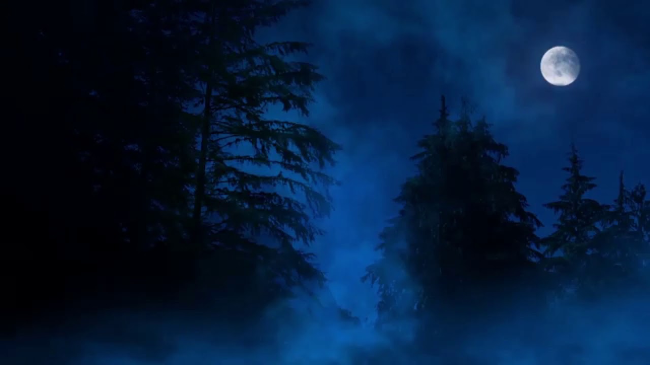 Night In Forest With Howling Wind - YouTube