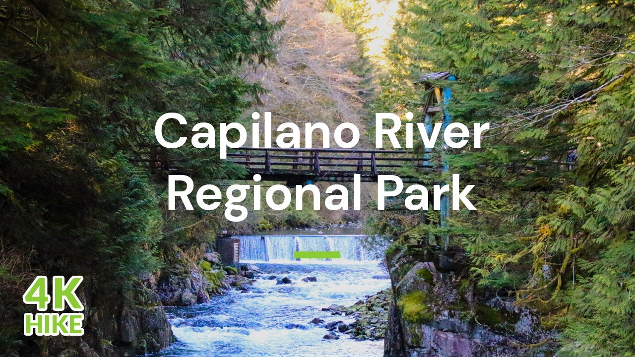 【4K】Walk Capilano River Regional Park - Vancouver Trails - YouTube