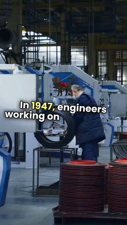 Did You Know The First Computer Bug Was A Moth 💻 Techhistory History Computerscience