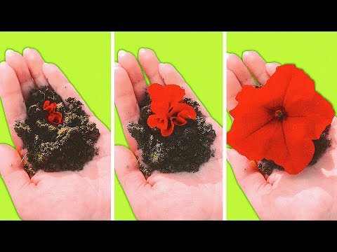 45 EASY HACKS TO MAKE YOUR VIDEO VIRAL