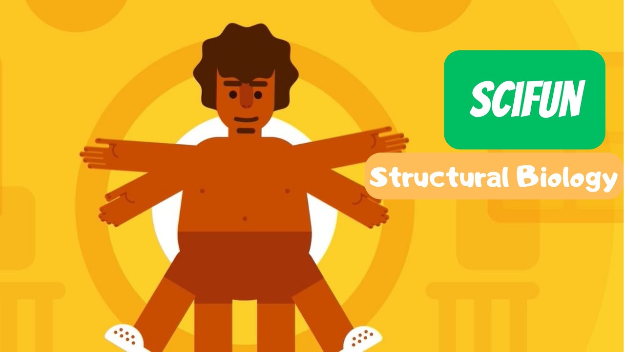 SciFun - Structural Biology - YouTube