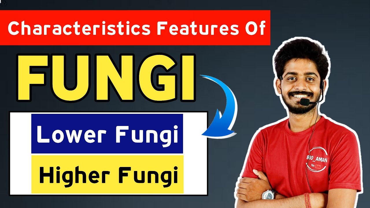 General Characteristics of Kingdom Fungi - Lower Fungi And Higher Fungi ...