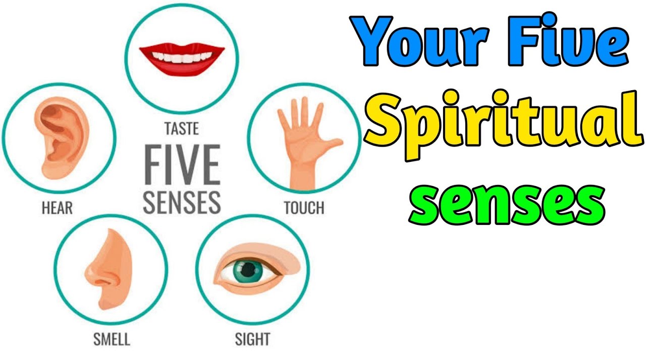 Your Five Spiritual Senses By Prophet Anil Rawat YouTube Your Five Spiritual Senses By Prophet Anil Rawat YouTube