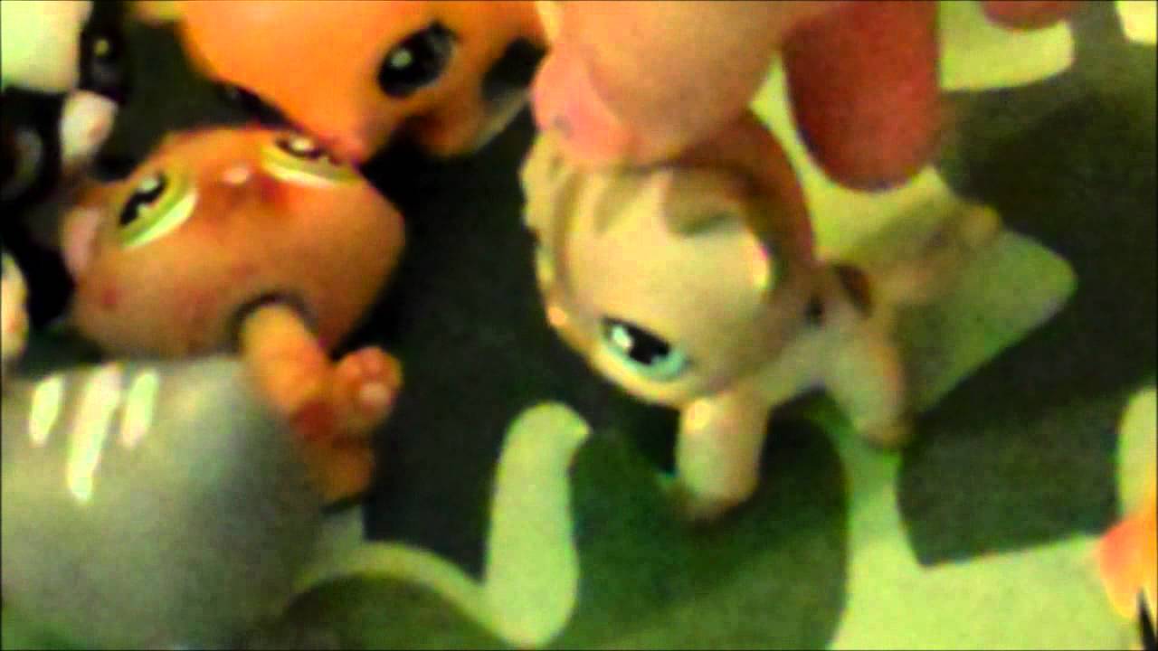lps warrior cat into the wild EP5(RedTail's death) - YouTube