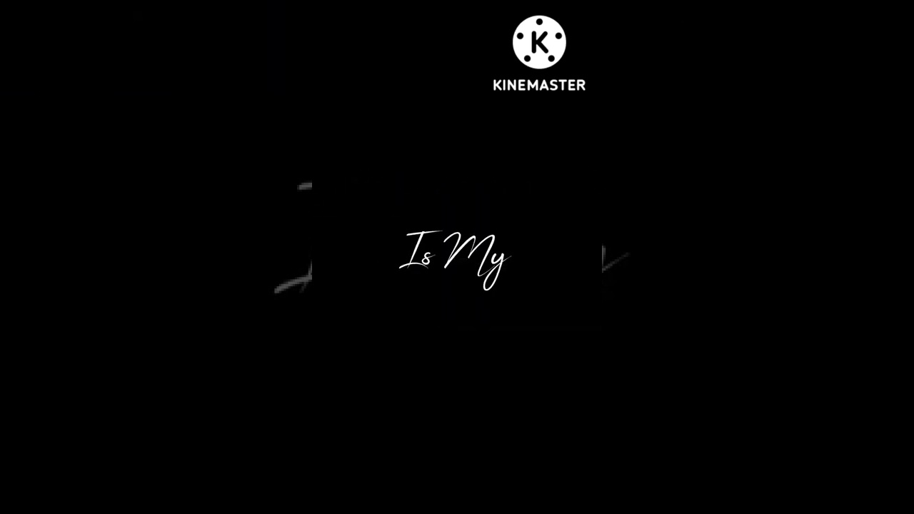 MY STATUS VIDEO YouTube my-status-video-youtube