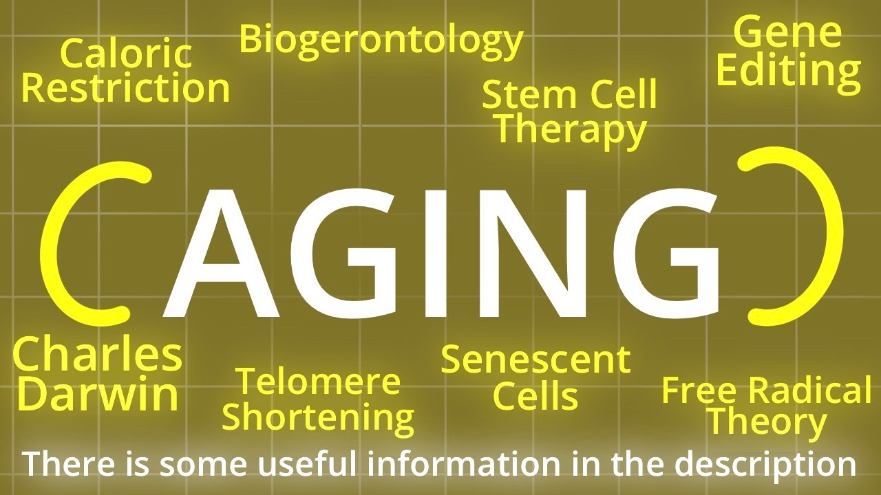 A Brief Introduction to Aging - YouTube