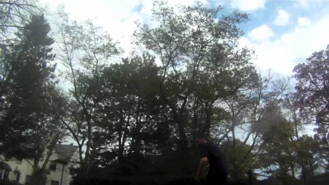 Gnar Whale - YouTube