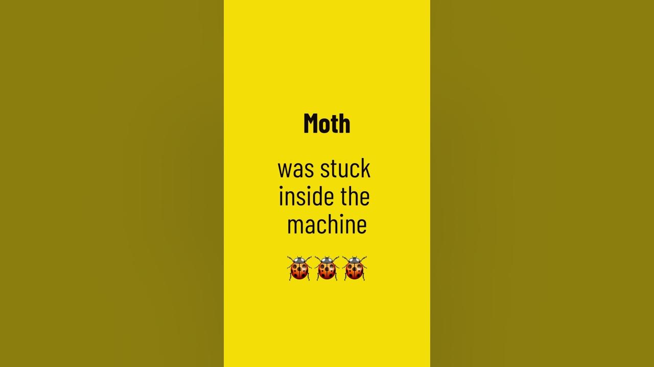 Web Coding Javascript الاردن برمجةويب برمجة مبرمج Html Css Webdevelopment Bugs Youtube