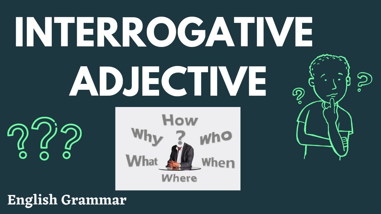 Interrogative Adjective | Interrogative adjective examples and exercise ...
