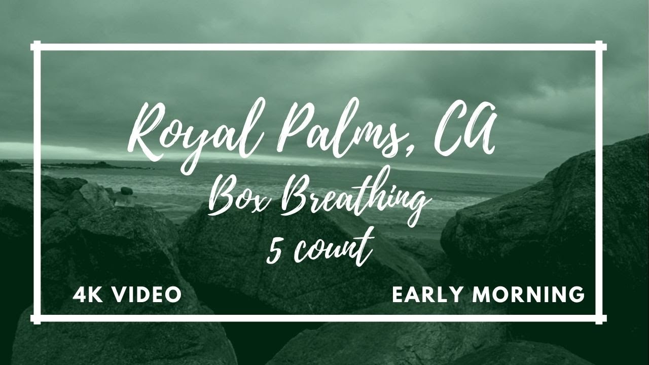 Daily Beginner Breathing Exercise: 5 count Box Breathing- midday break ...