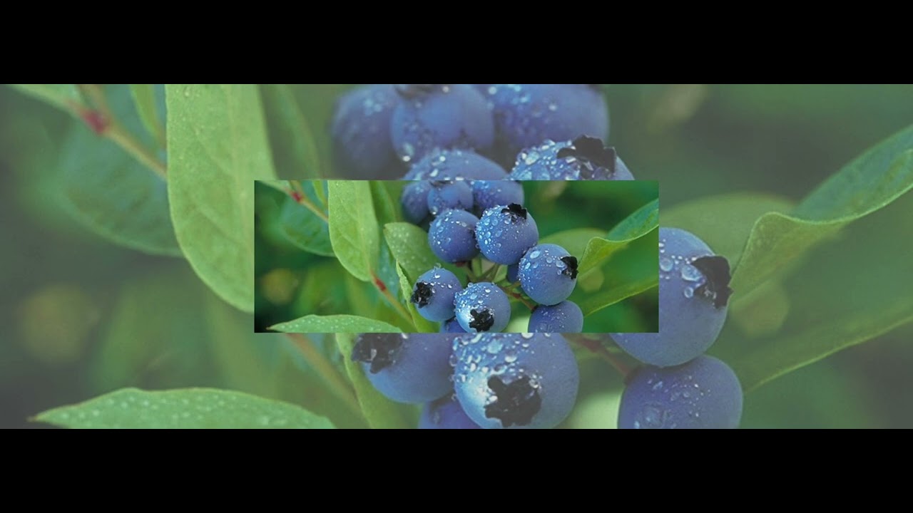 blueberry - Crystals (slowed & reverbed) - YouTube