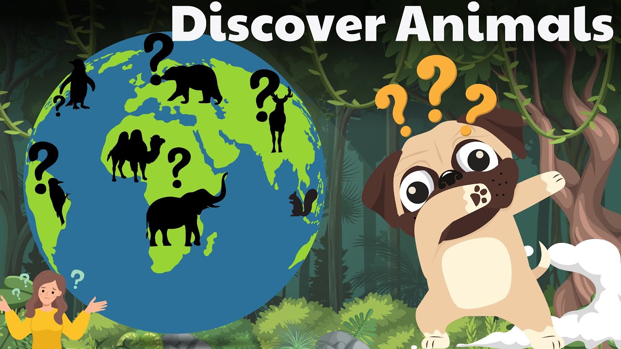 Birdie Explorers: Let's Discover Amazing Birds Together! | Kids ...