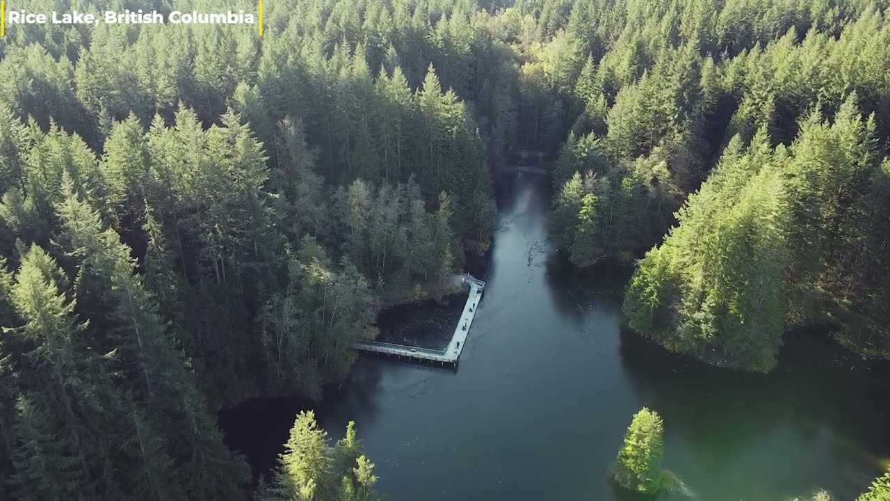 Rice Lake, British Columbia - YouTube