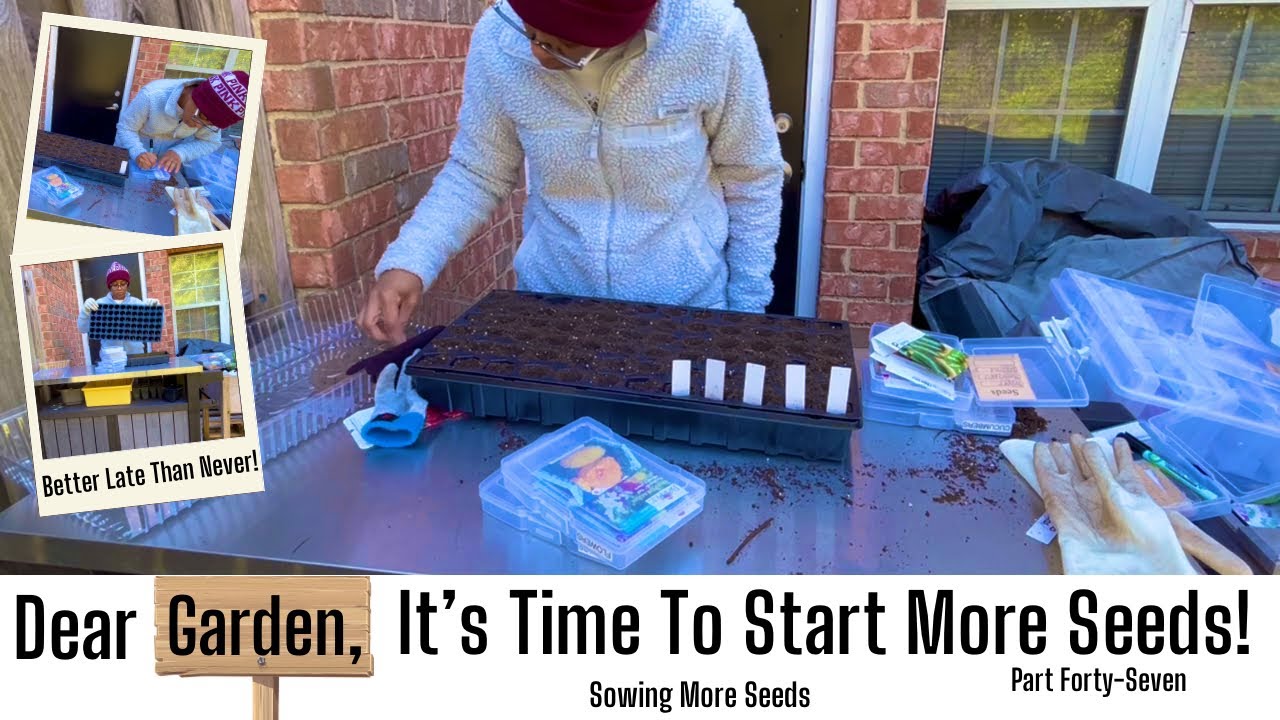 Making My Garden Dreams Come True: Starting Seeds for a Flourishing ...