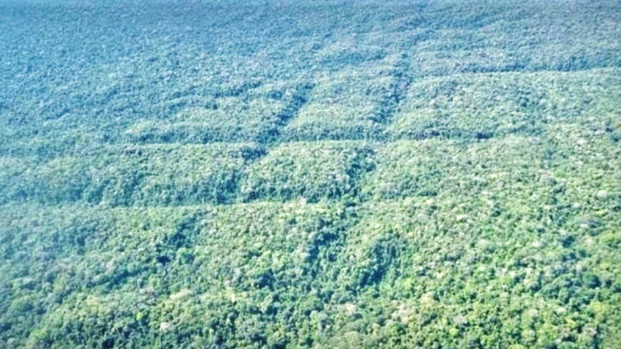 Scientists Have Just Revealed That Something Big Just Opened Up In The ...