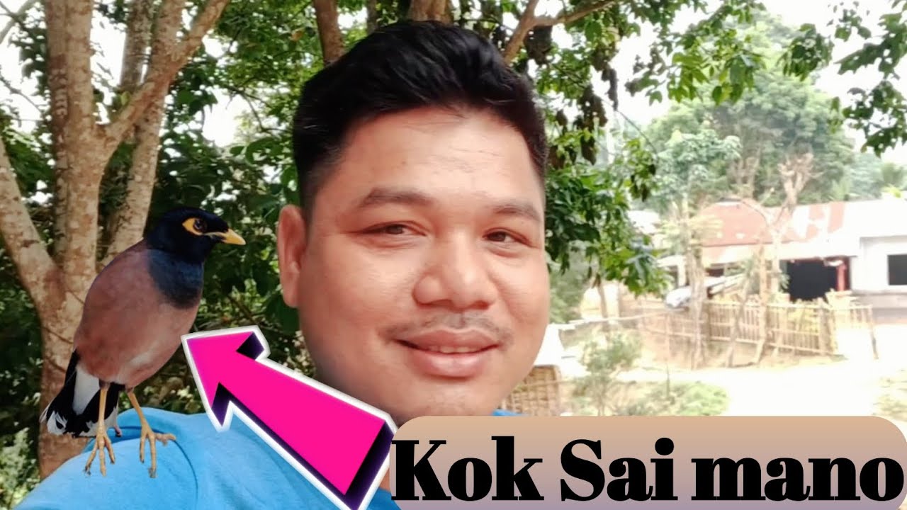 Tok kok saimano ll kokborok vlog 2024 ll @HNJamatia - YouTube