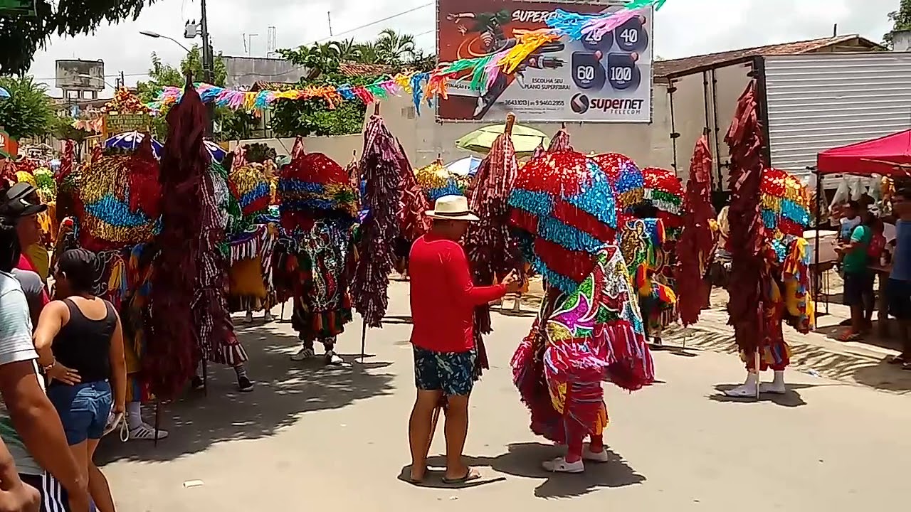 Carnaval de Pernambuco 2020 - YouTube