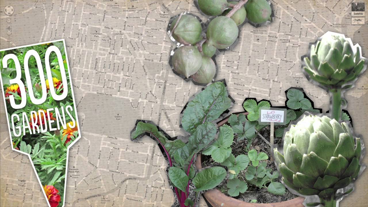 Grow It Local | The Case Study Video - YouTube