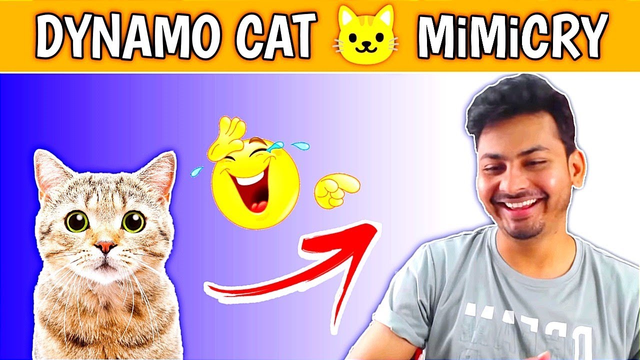 Dynamo Cat Mimicry 🤣 Hydra Family - YouTube