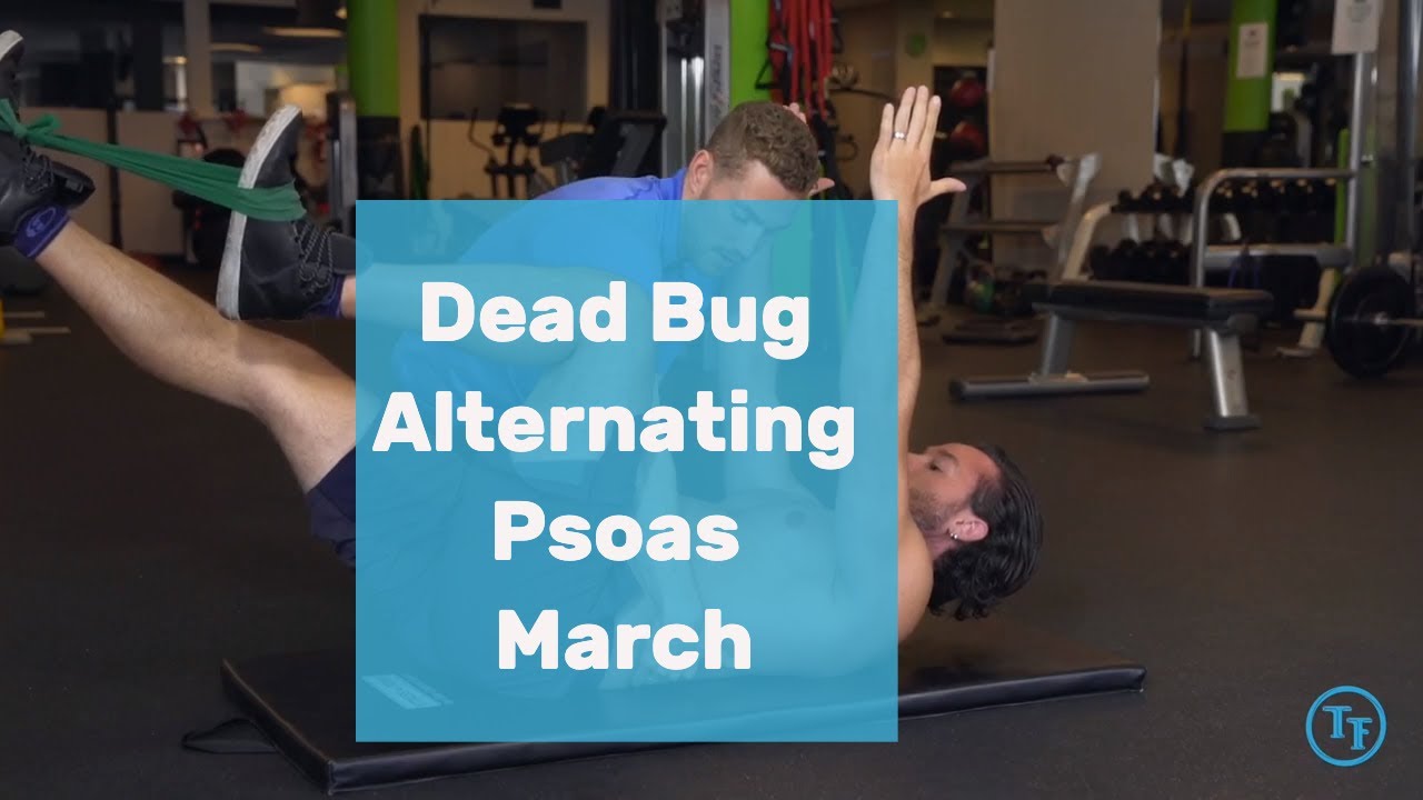 How to do a Dead Bug Alternating Psoas March - YouTube