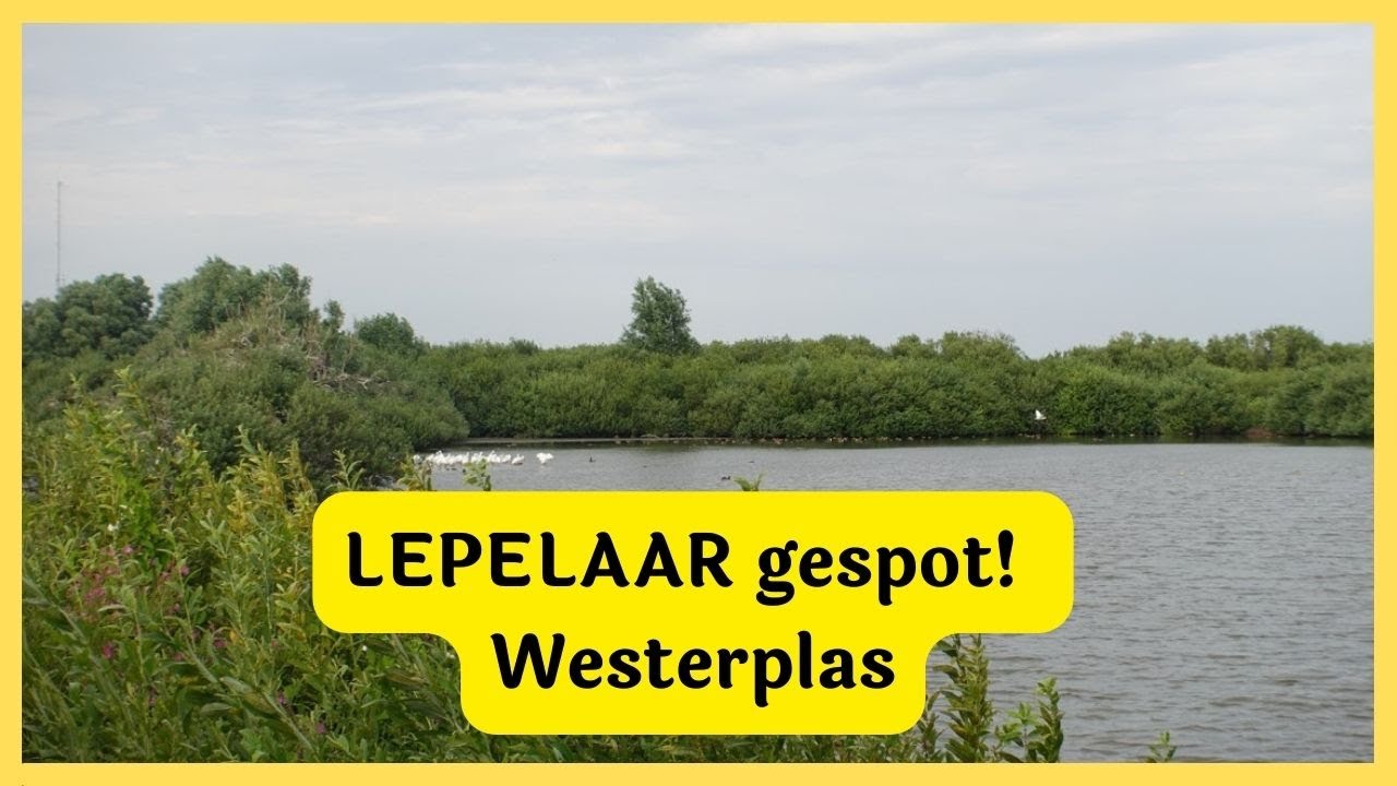 Westerplas Schiermonnikoog - YouTube