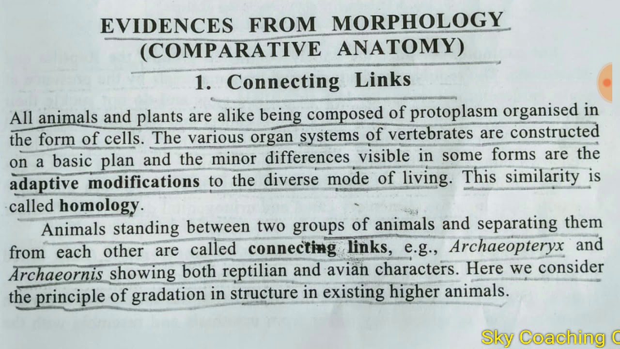 Evidence from morphology comparative anatomy connecting links - YouTube