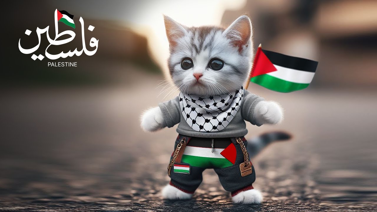 Cute Cat Singing Arabic Wearning Palestine Flag - Atuna tufuli Atouna ...