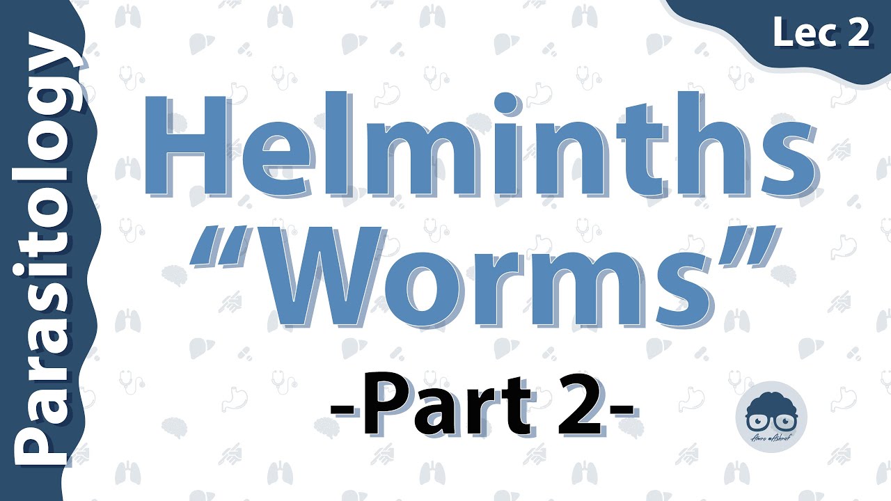 Parasitology - Helminths (Lec2) - part 2 - Dr Amro Ashraf - YouTube