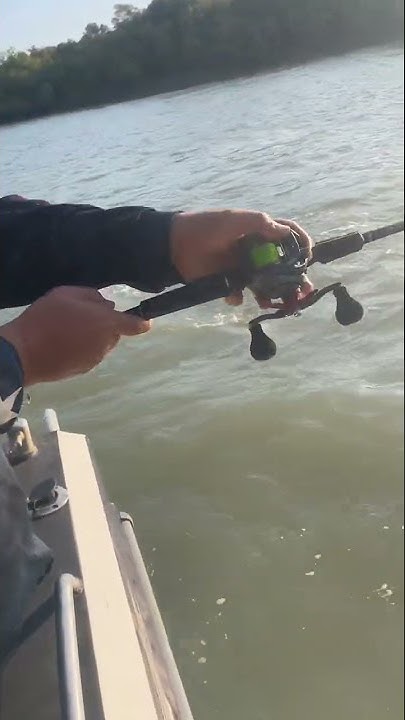 Estuary Lure Fishing! NT Australia! #shorts - YouTube