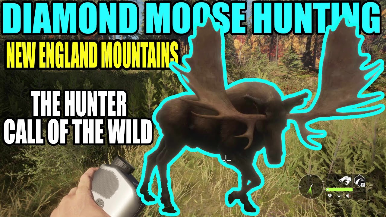 DIAMOND MOOSE HUNTING IN NEW ENGLAND. (CALL OF THE WILD) - YouTube