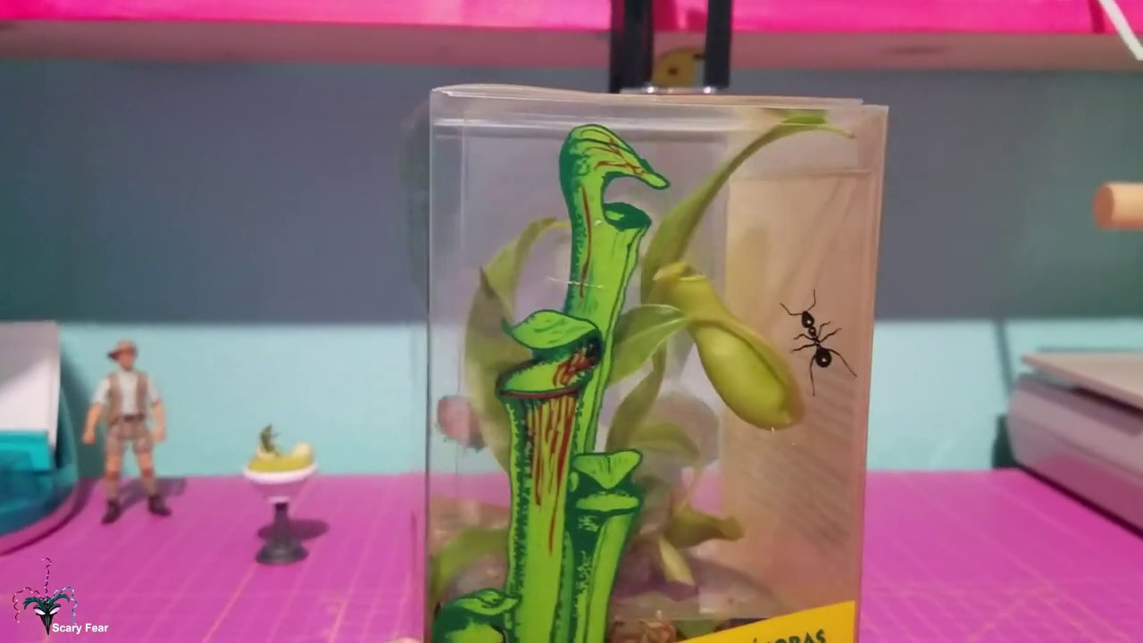 Death Cube Nepenthes Rescue - YouTube