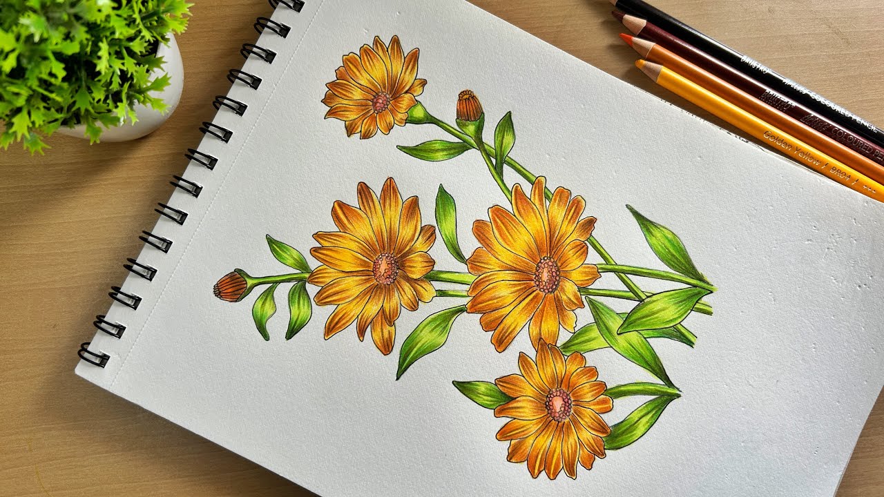 Pencil Colour Flower Painting | Flower Painting | Pencil Colour Drawing ...