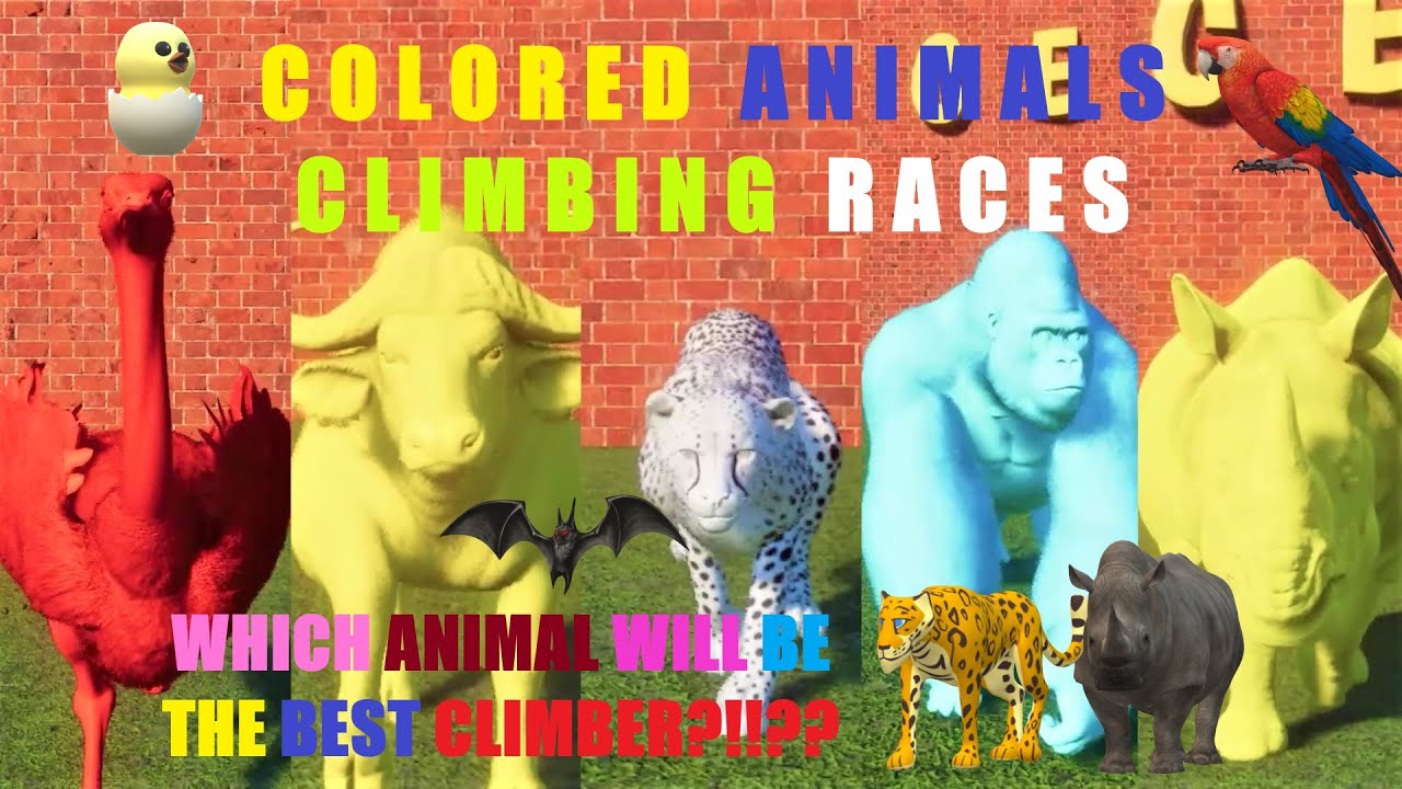 COLORED ANIMAL RACES IN PLANET ZOO- ANIMAL CLIMBING RACES- ANIMAL FUN ...