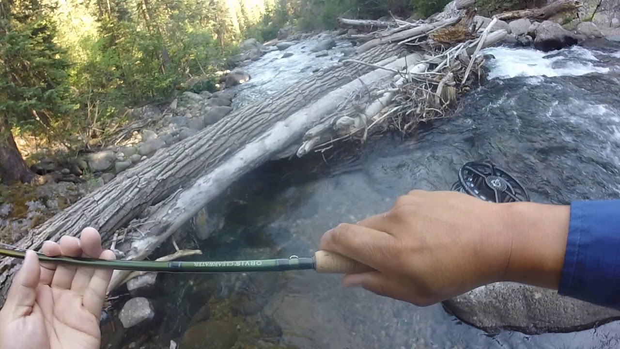 20 inch trout on the first day of summer - YouTube
