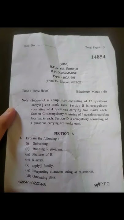 Bca R programming question paper 2023-MMDU - YouTube