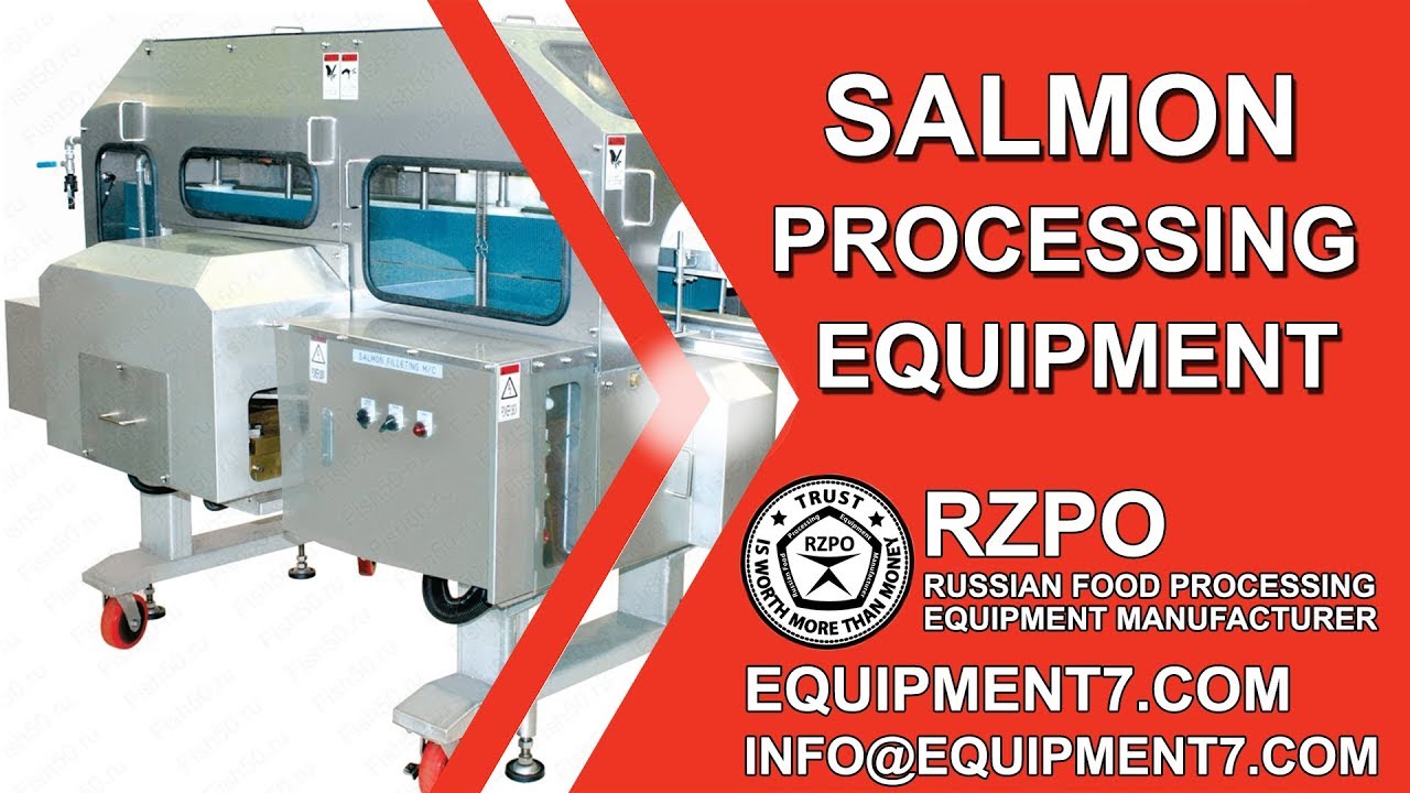 Salmon processing equipment. Filleting machine for salmon fish. Salmon ...