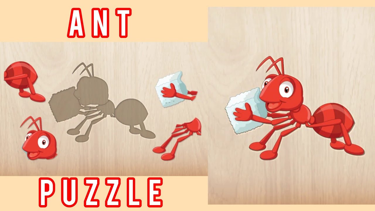 Ant Puzzle - PUZZLE GAME PLAY - YouTube