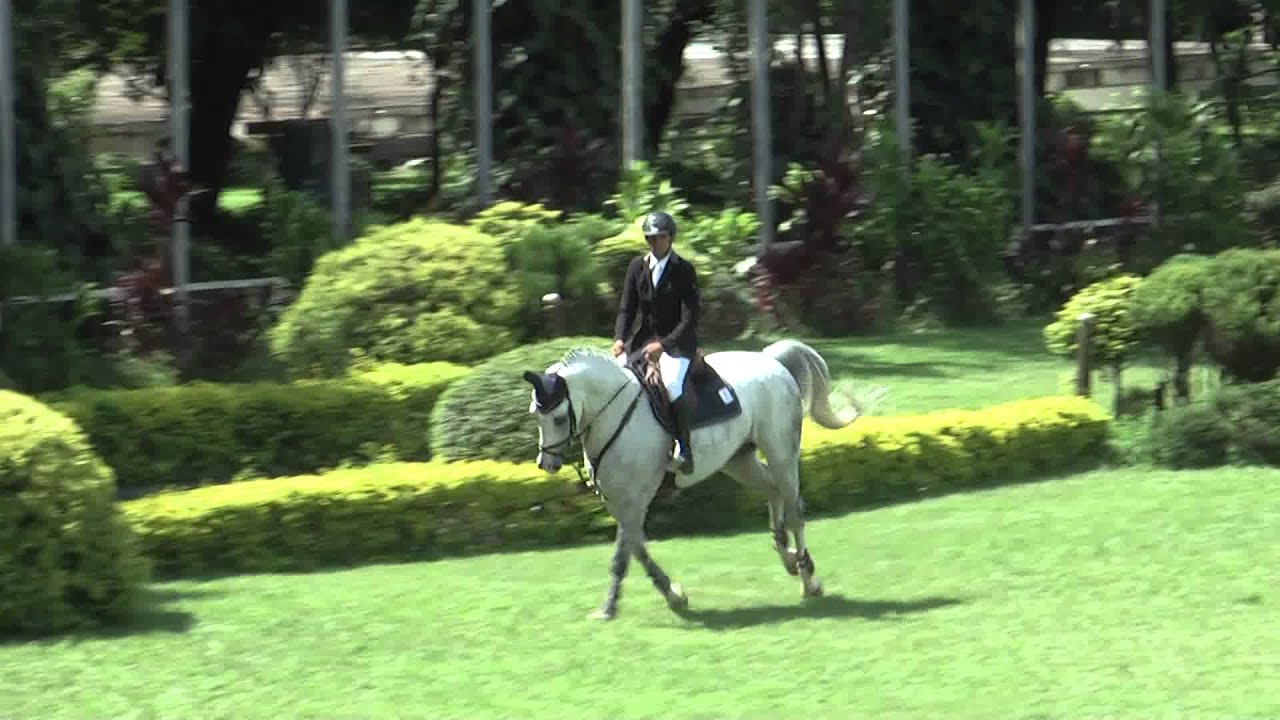 Raphael Machado Leite - Cormondo - YouTube