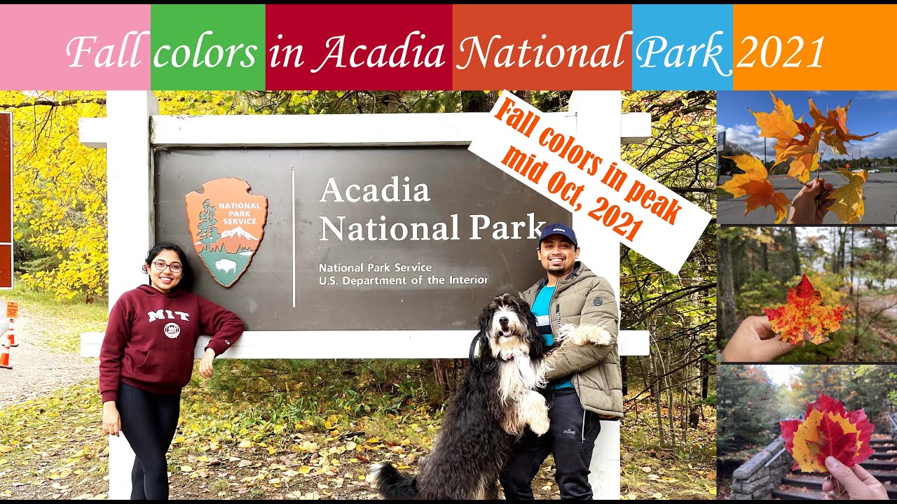 Fall colors in Acadia National Park Mid Oct 2021| Things to do in ...