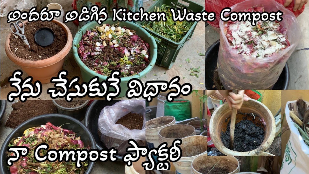 Kitchen waste compost preparation - YouTube