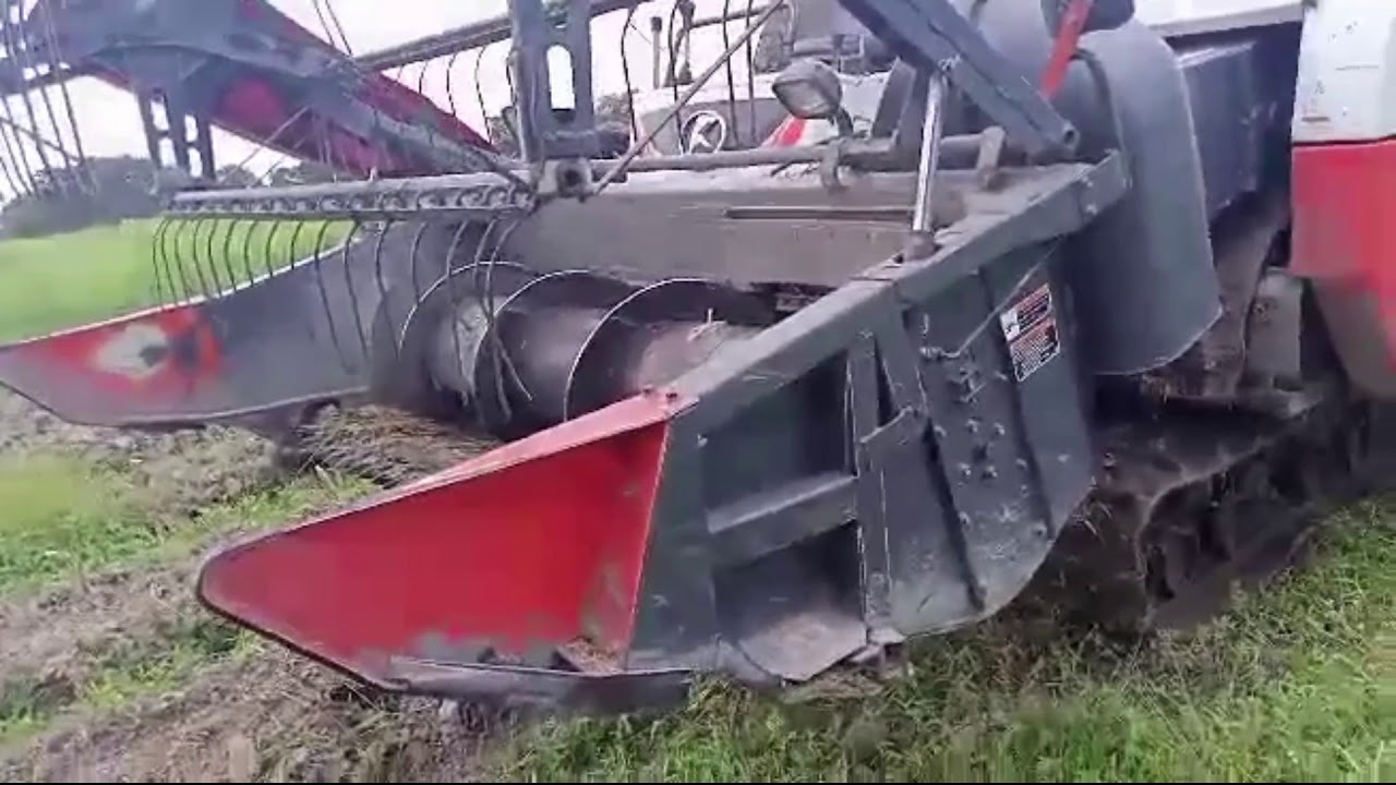 Harvesting Rice Using Harvester || Life of a farmer in the Philippines ...